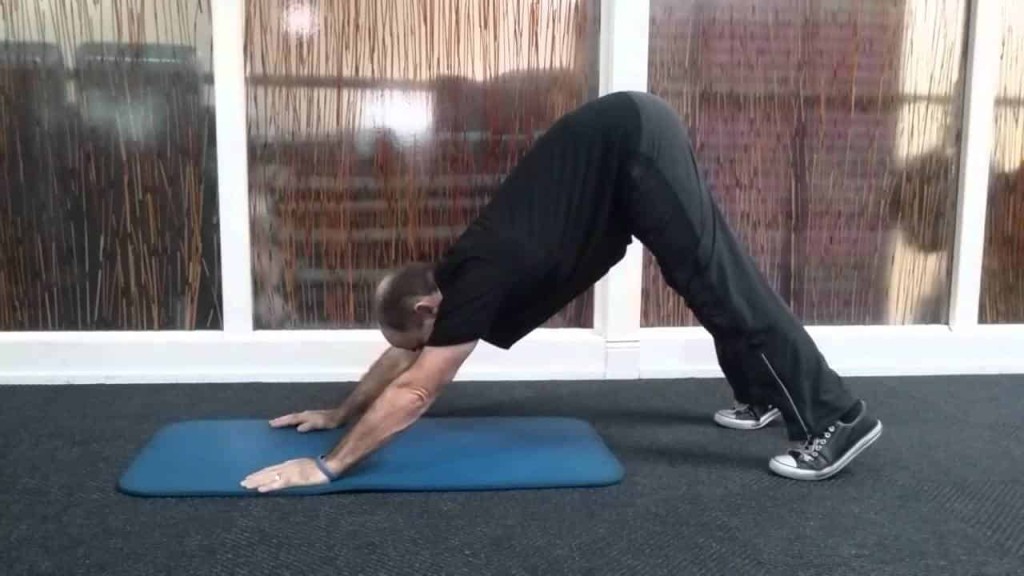 Hindu Squats And Hindu Pushups