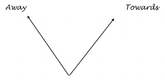 The Choice Point: A Map for a Meaningful Life - Adaptive Strength