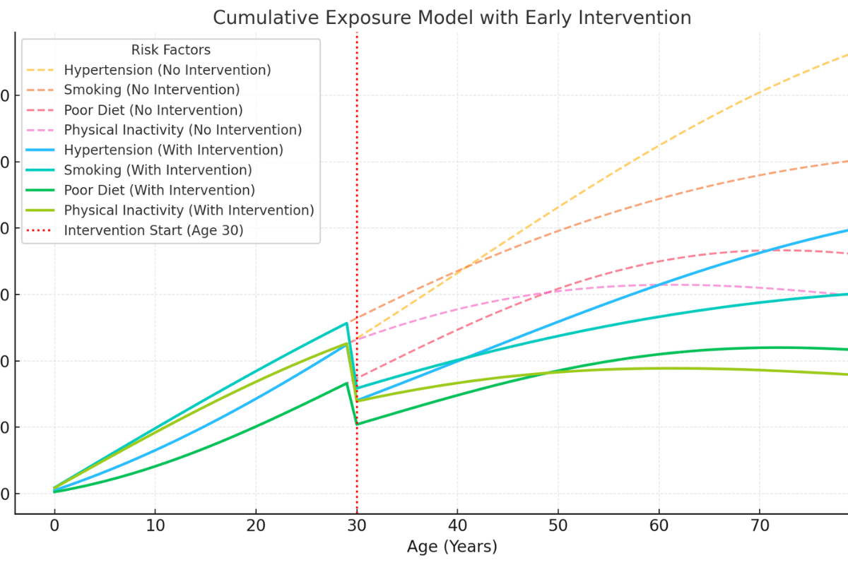 The Cumulative Exposure Model: Understanding Lifelong Cardiovascular ...